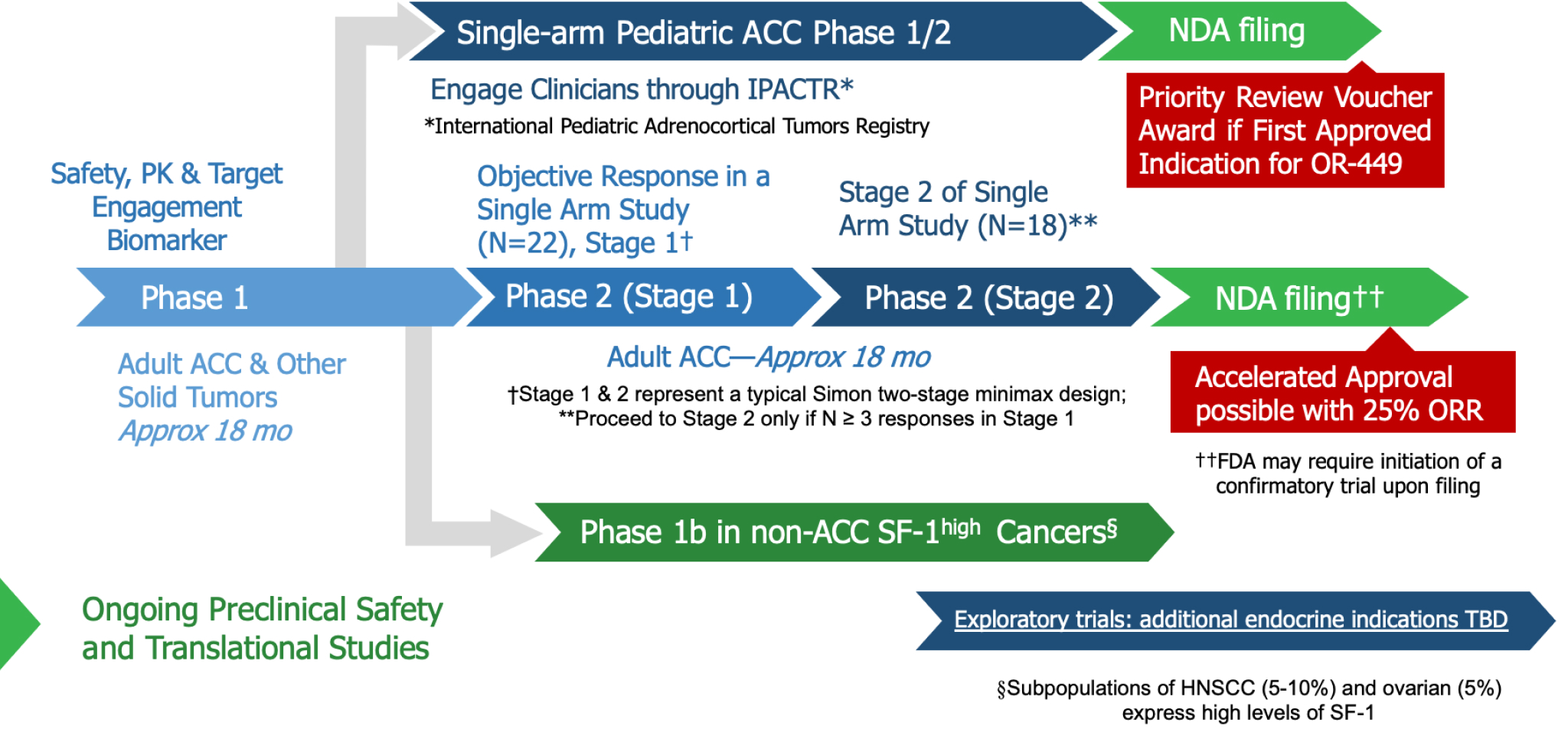 New therapies of ACC in preclinical and clinical trials – ICPACT
